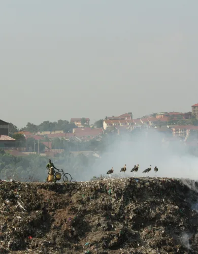 Why Are Landfills Bad For The Environment? | Explained